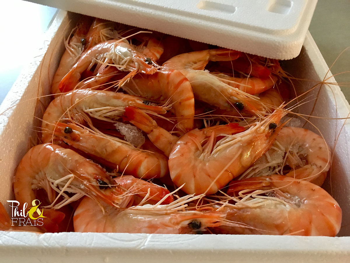 Crevettes cuites Label Rouge Madagascar colis 2kg - PHIL & FRAIS
